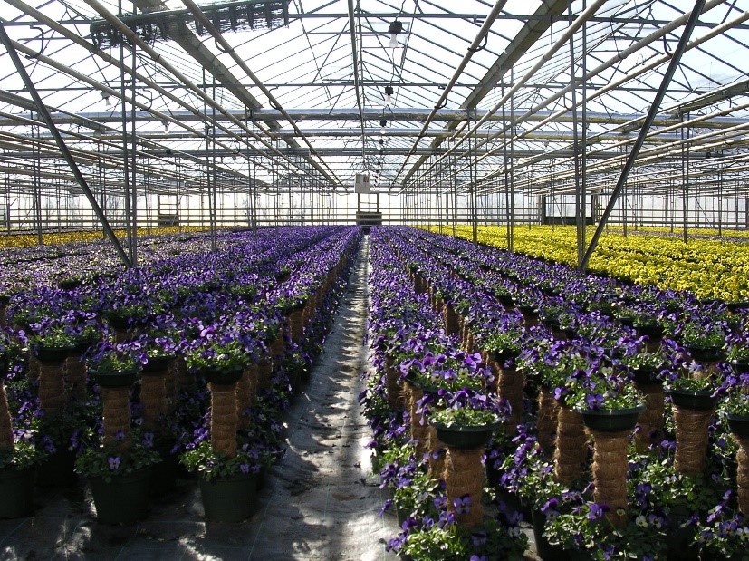 Home - Agrimat Holland bv